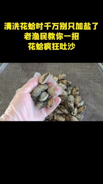 蛤蜊怎么吐沙干净_如何让蛤蜊彻底吐沙-第2张图片-山城妙识