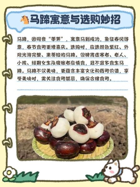 荸荠和马蹄是一样的吗_荸荠马蹄区别在哪里-第2张图片-山城妙识