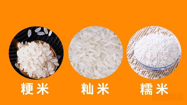籼米粳米糯米的区别_哪个更适合做米饭-第3张图片-山城妙识 籼米粳米糯米的区别_哪个更适合做米饭-第3张图片-山城妙识