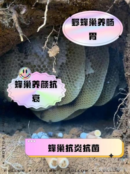 蜂巢哪些人不能吃_蜂巢禁忌人群有哪些-第3张图片-山城妙识 蜂巢哪些人不能吃_蜂巢禁忌人群有哪些-第3张图片-山城妙识