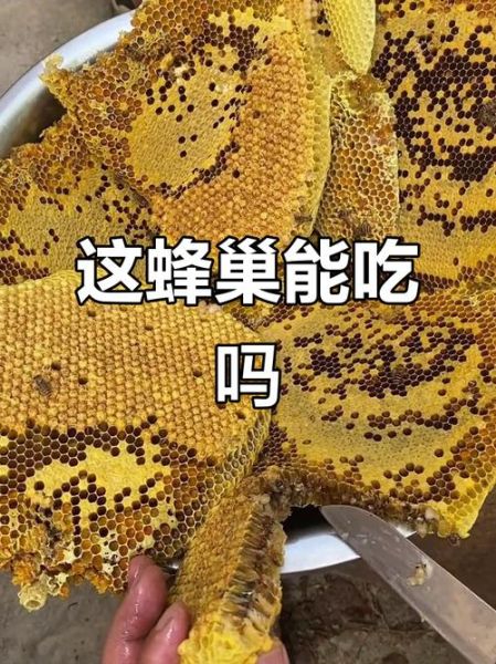 蜂巢哪些人不能吃_蜂巢禁忌人群有哪些-第2张图片-山城妙识 蜂巢哪些人不能吃_蜂巢禁忌人群有哪些-第2张图片-山城妙识