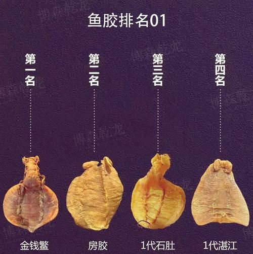 鳘鱼鳔的功效与作用_鳘鱼鳔怎么吃最好-第3张图片-山城妙识 鳘鱼鳔的功效与作用_鳘鱼鳔怎么吃最好-第3张图片-山城妙识