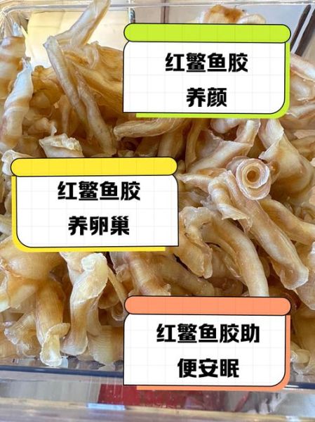 鳘鱼鳔的功效与作用_鳘鱼鳔怎么吃最好-第2张图片-山城妙识 鳘鱼鳔的功效与作用_鳘鱼鳔怎么吃最好-第2张图片-山城妙识