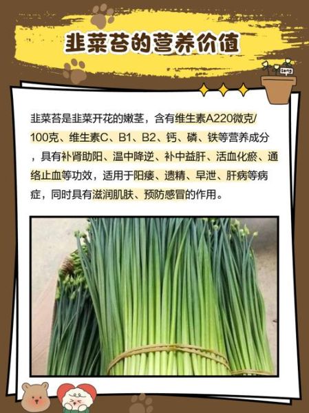 韭菜苔图片怎么挑选_韭菜苔和韭菜的区别-第1张图片-山城妙识