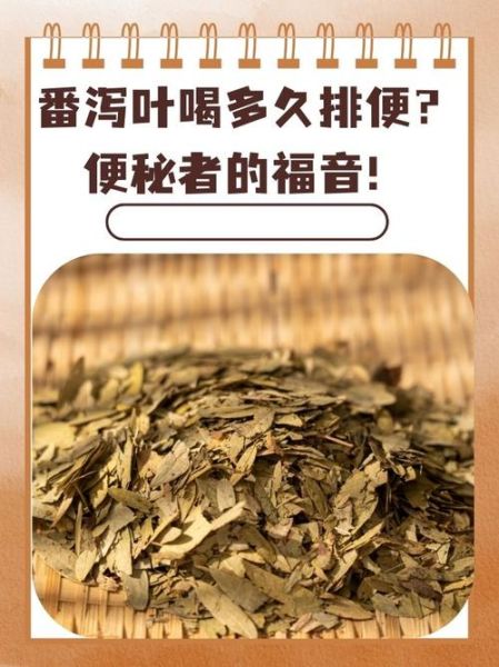 长期喝番泻叶20年副作用_番泻叶长期用安全吗-第3张图片-山城妙识