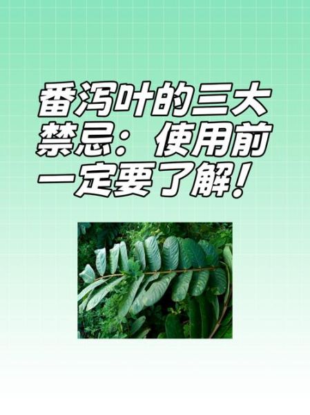 长期喝番泻叶20年副作用_番泻叶长期用安全吗-第1张图片-山城妙识