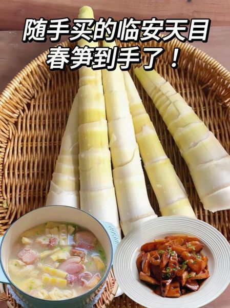 鲜春笋怎么做好吃_鲜春笋的做法大全-第3张图片-山城妙识