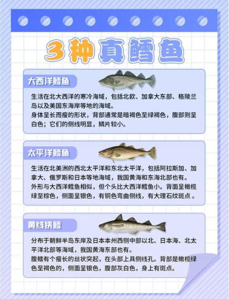 龙鳕鱼与银鳕鱼的区别_哪个更适合宝宝吃-第1张图片-山城妙识 龙鳕鱼与银鳕鱼的区别_哪个更适合宝宝吃-第1张图片-山城妙识