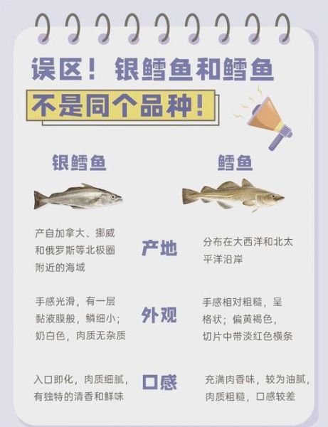 龙鳕鱼与银鳕鱼的区别_哪个更适合宝宝吃-第3张图片-山城妙识 龙鳕鱼与银鳕鱼的区别_哪个更适合宝宝吃-第3张图片-山城妙识