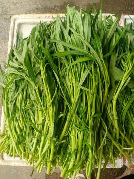 空心菜是万毒之王吗_空心菜重金属超标真相-第2张图片-山城妙识 空心菜是万毒之王吗_空心菜重金属超标真相-第2张图片-山城妙识