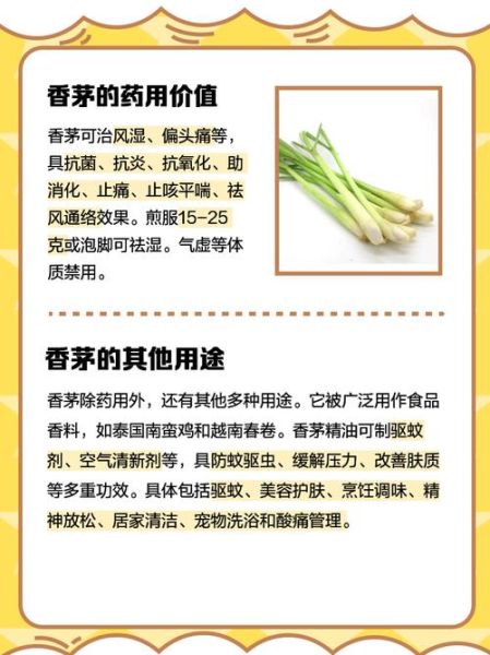 香茅草多少钱一斤_香茅草价格走势-第3张图片-山城妙识