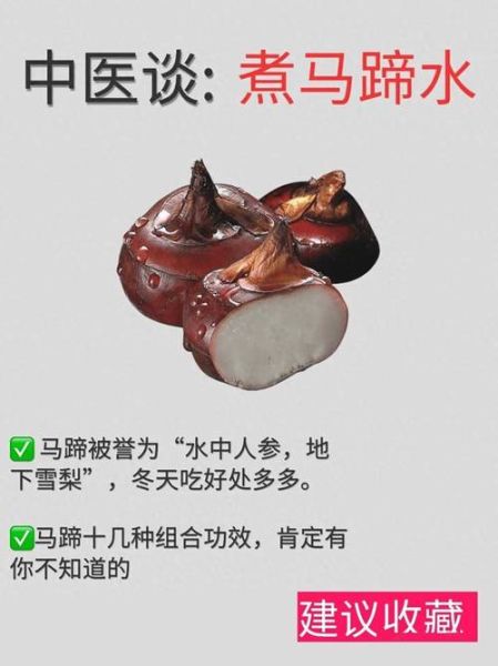 马蹄其实是马的什么_马蹄结构功能详解-第1张图片-山城妙识 马蹄其实是马的什么_马蹄结构功能详解-第1张图片-山城妙识