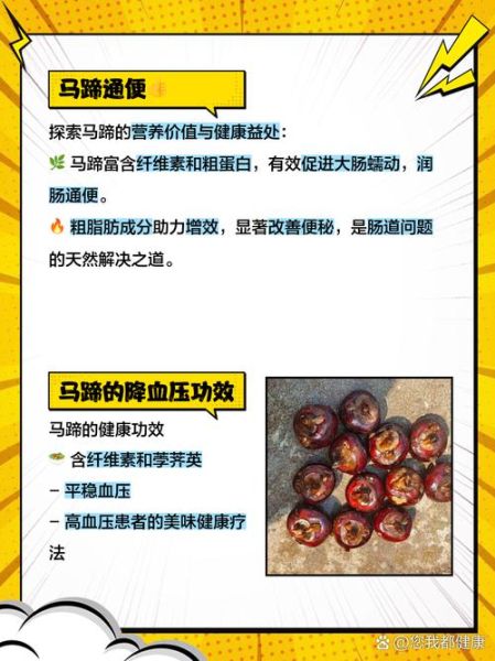 马蹄其实是马的什么_马蹄结构功能详解-第2张图片-山城妙识 马蹄其实是马的什么_马蹄结构功能详解-第2张图片-山城妙识