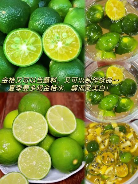 青桔的功效与作用_青桔泡水喝的禁忌-第3张图片-山城妙识 青桔的功效与作用_青桔泡水喝的禁忌-第3张图片-山城妙识