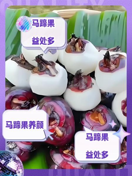 马蹄果怎么吃最好吃_马蹄果的做法大全-第3张图片-山城妙识 马蹄果怎么吃最好吃_马蹄果的做法大全-第3张图片-山城妙识