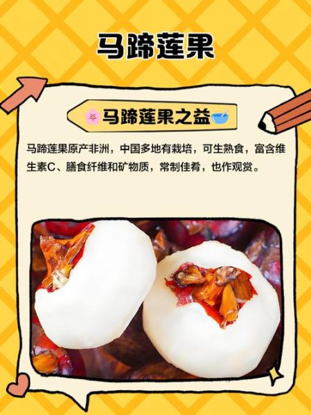 马蹄果怎么吃最好吃_马蹄果的做法大全-第1张图片-山城妙识 马蹄果怎么吃最好吃_马蹄果的做法大全-第1张图片-山城妙识