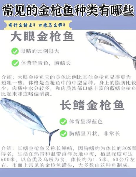 金枪鱼和三文鱼哪个贵_价格差异原因-第3张图片-山城妙识