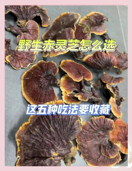 赤灵芝的功效与作用_赤灵芝怎么吃效果最好-第1张图片-山城妙识 赤灵芝的功效与作用_赤灵芝怎么吃效果最好-第1张图片-山城妙识