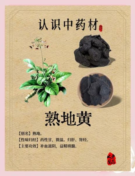 熟地的功效与作用_熟地的副作用有哪些-第1张图片-山城妙识