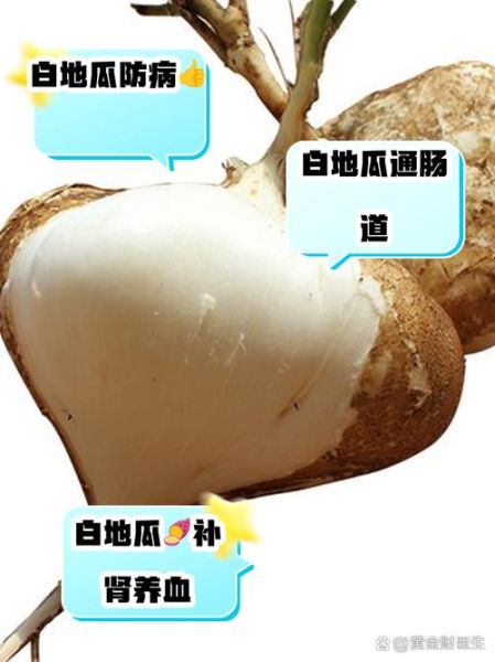 白地瓜生吃有什么好处_白地瓜生吃能减肥吗-第1张图片-山城妙识