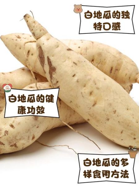 白地瓜生吃有什么好处_白地瓜生吃能减肥吗-第3张图片-山城妙识