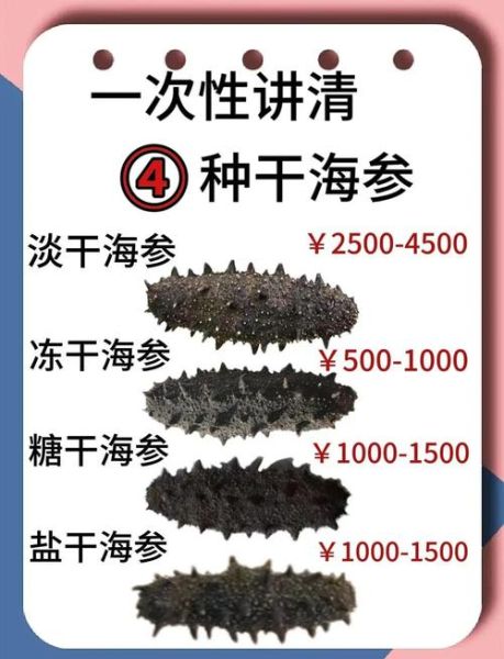 鲜海参多少钱一斤_鲜海参价格为什么差别大-第1张图片-山城妙识 鲜海参多少钱一斤_鲜海参价格为什么差别大-第1张图片-山城妙识