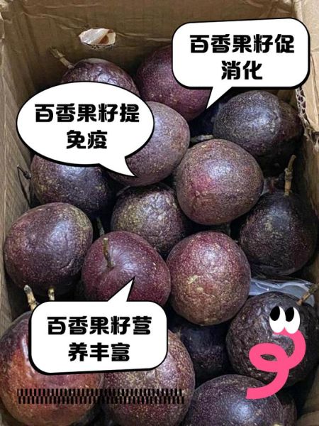 百香果籽能吃吗_百香果籽的功效与作用-第2张图片-山城妙识 百香果籽能吃吗_百香果籽的功效与作用-第2张图片-山城妙识