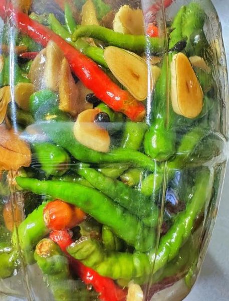 怎样腌制辣椒_腌制辣椒用什么盐最好-第1张图片-山城妙识 怎样腌制辣椒_腌制辣椒用什么盐最好-第1张图片-山城妙识