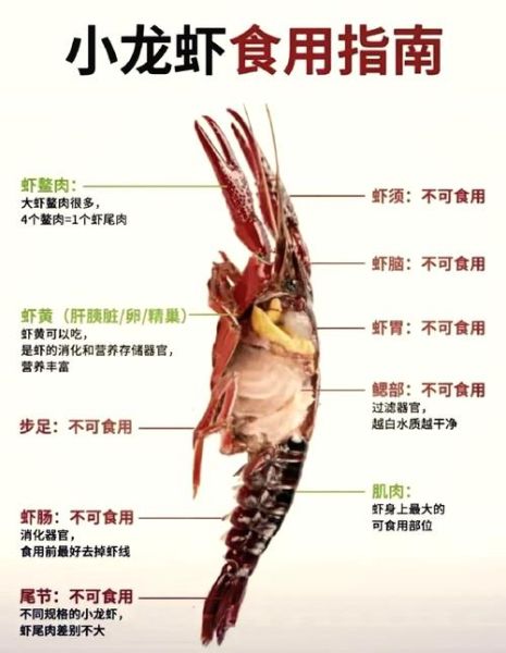 大龙虾怎么杀_活龙虾处理步骤-第1张图片-山城妙识