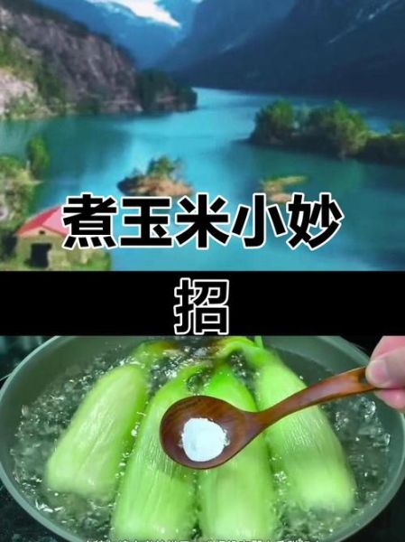 煮玉米放糖还是放盐_哪个更好吃-第2张图片-山城妙识 煮玉米放糖还是放盐_哪个更好吃-第2张图片-山城妙识