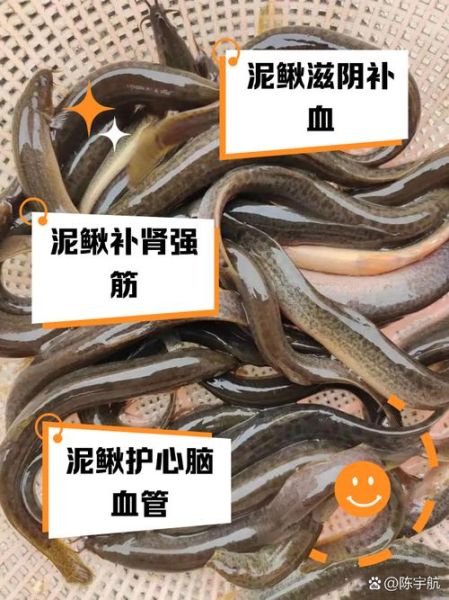 泥鳅需要去内脏吗_泥鳅怎么处理干净-第3张图片-山城妙识