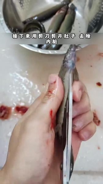 泥鳅需要去内脏吗_泥鳅怎么处理干净-第2张图片-山城妙识