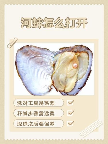 河蚌的功效与作用禁忌_河蚌怎么吃才安全-第1张图片-山城妙识