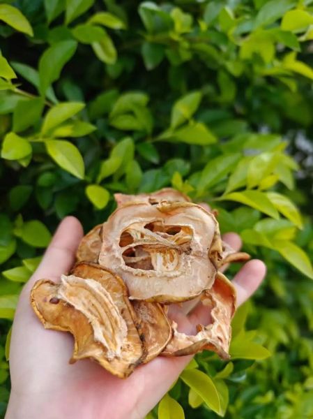 木瓜泡水喝的功效与作用_木瓜干片泡水正确方法-第2张图片-山城妙识 木瓜泡水喝的功效与作用_木瓜干片泡水正确方法-第2张图片-山城妙识