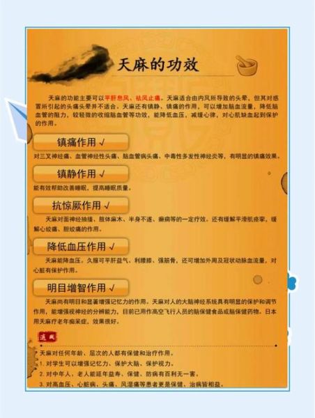 天麻的功效与作用吃法_天麻的禁忌有哪些-第1张图片-山城妙识