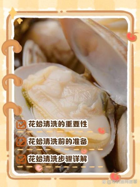 花蛤怎么清洗_花蛤的做法大全-第1张图片-山城妙识 花蛤怎么清洗_花蛤的做法大全-第1张图片-山城妙识