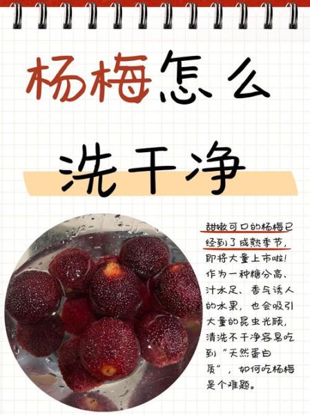 杨梅怎么洗才干净_杨梅的正确吃法-第1张图片-山城妙识