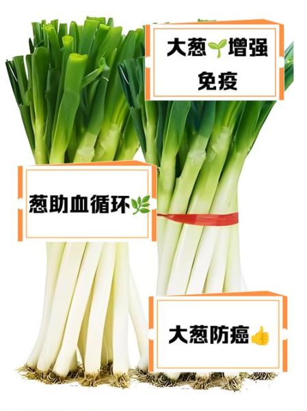 大葱的营养价值_大葱有哪些营养成分-第1张图片-山城妙识