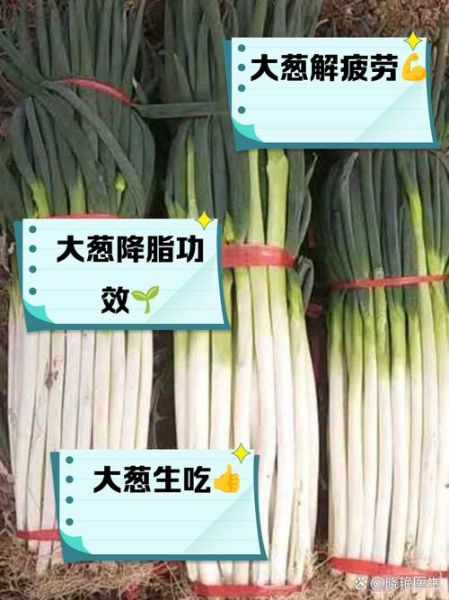 大葱的营养价值_大葱有哪些营养成分-第2张图片-山城妙识