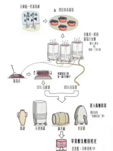 如何自己酿造葡萄酒_自制葡萄酒常见问题-第2张图片-山城妙识
