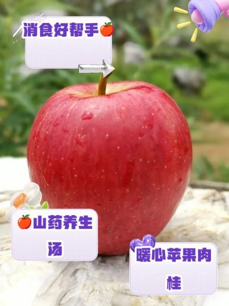 健脾胃的水果有哪些_怎么吃效果最好-第3张图片-山城妙识 健脾胃的水果有哪些_怎么吃效果最好-第3张图片-山城妙识