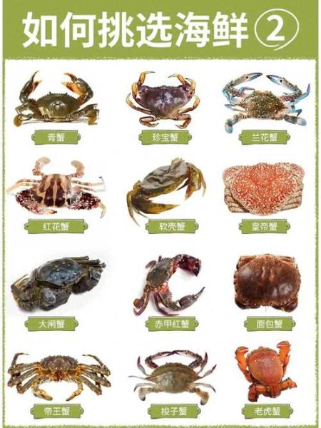 螃蟹怎么挑选_活蟹新鲜度怎么看-第2张图片-山城妙识 螃蟹怎么挑选_活蟹新鲜度怎么看-第2张图片-山城妙识