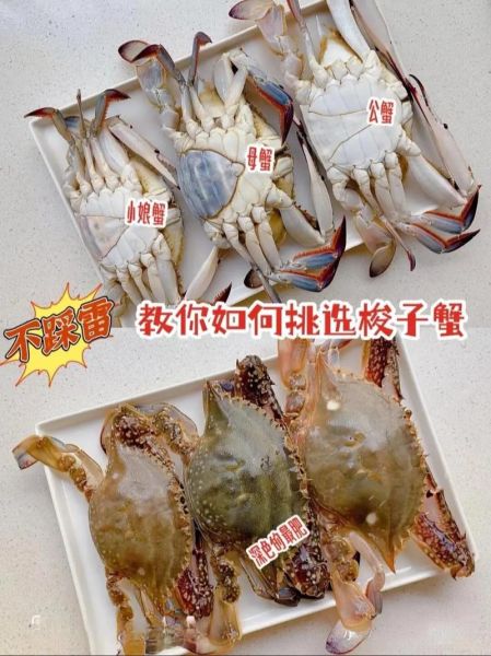 螃蟹怎么挑选_活蟹新鲜度怎么看-第1张图片-山城妙识 螃蟹怎么挑选_活蟹新鲜度怎么看-第1张图片-山城妙识