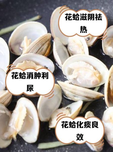 花蛤的营养价值_花蛤的功效与作用-第1张图片-山城妙识 花蛤的营养价值_花蛤的功效与作用-第1张图片-山城妙识