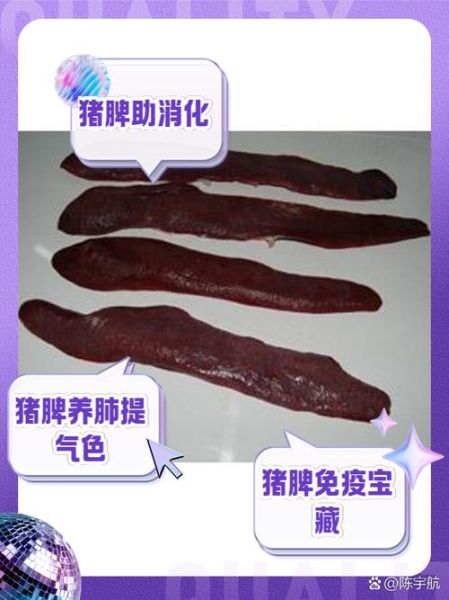 猪脾脏图片_猪脾脏解剖结构-第1张图片-山城妙识 猪脾脏图片_猪脾脏解剖结构-第1张图片-山城妙识