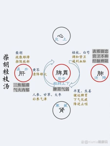 柴胡桂枝汤的功效与作用_柴胡桂枝汤适合什么人-第1张图片-山城妙识