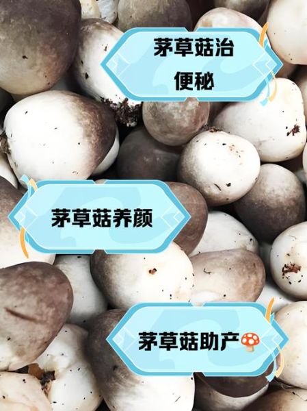 草菇的功效与作用禁忌_草菇什么人不能吃-第2张图片-山城妙识 草菇的功效与作用禁忌_草菇什么人不能吃-第2张图片-山城妙识