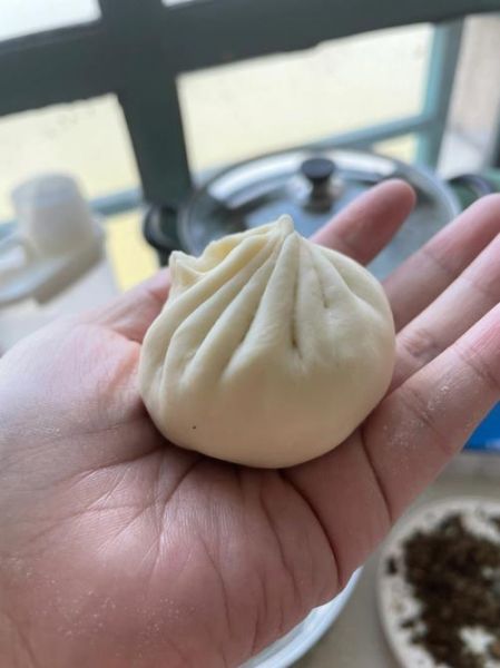 包子怎么包_包子褶子怎么捏才漂亮-第3张图片-山城妙识