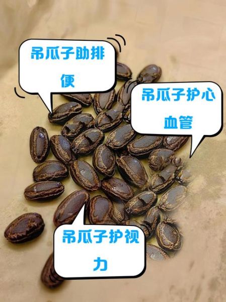 吊瓜图片大全图片_吊瓜功效与作用-第1张图片-山城妙识 吊瓜图片大全图片_吊瓜功效与作用-第1张图片-山城妙识