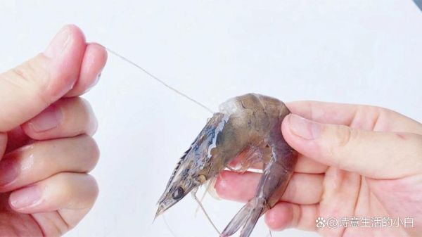 对虾怎么去虾线_虾线挑不干净怎么办-第2张图片-山城妙识 对虾怎么去虾线_虾线挑不干净怎么办-第2张图片-山城妙识